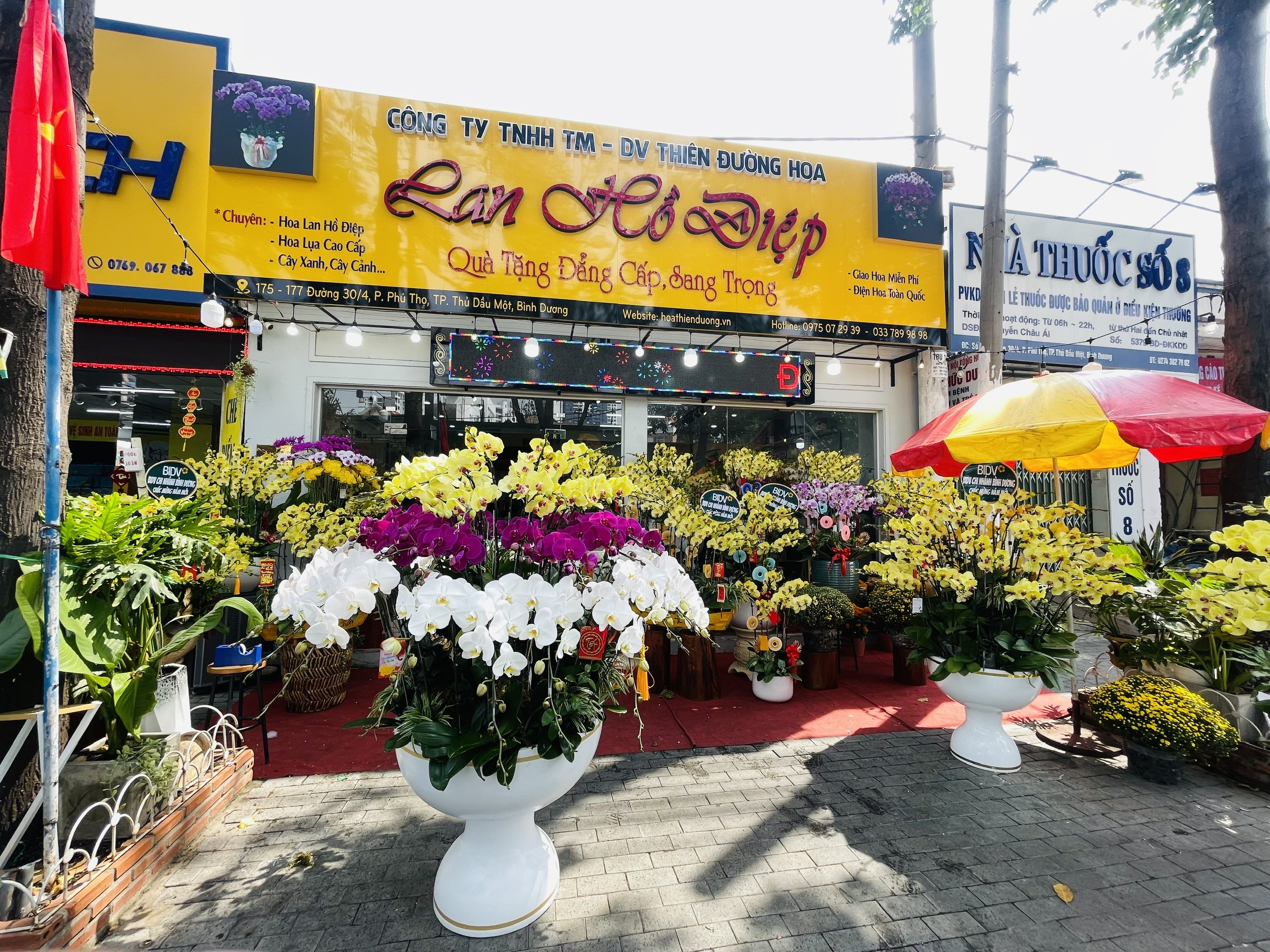 Đào tạo cắm hoa mở shop tại Bình Dương